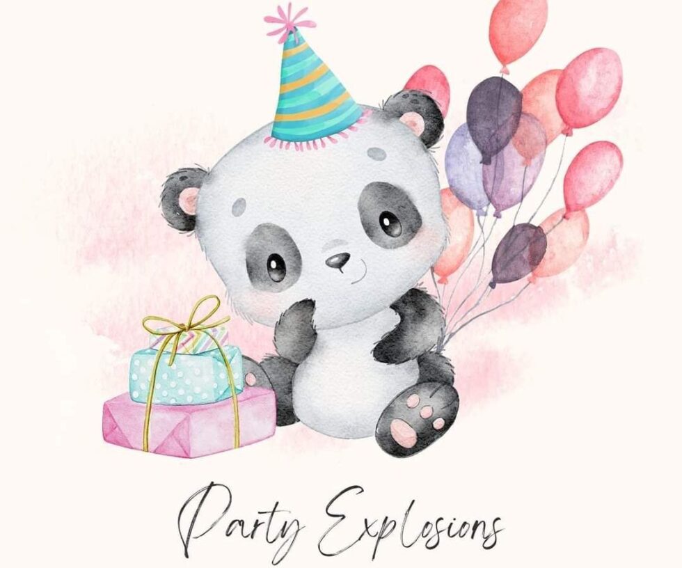 Party Explosions | Party Packs and more