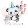 Party Explosions | Party Packs and more
